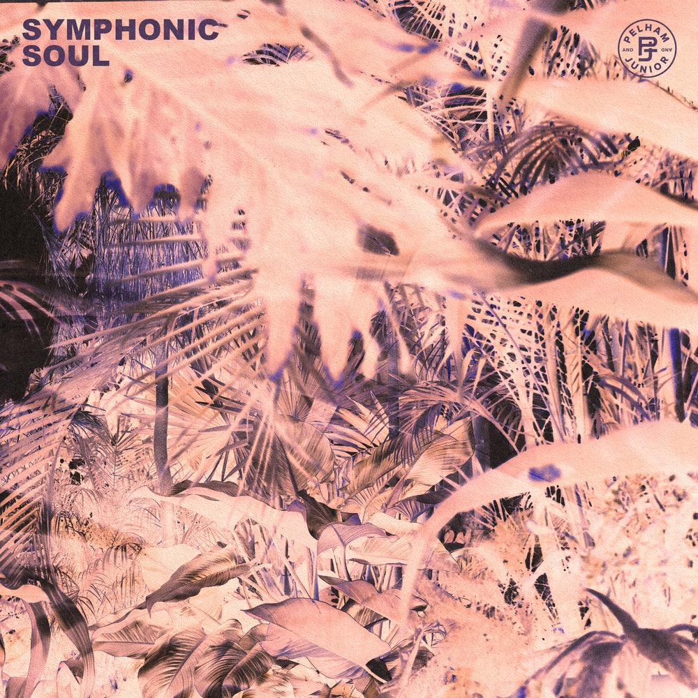 Symphonic Soul (Sample Pack) – Pelham & Junior Co.
