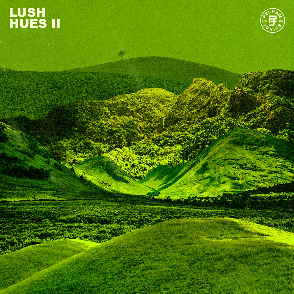 Lush Hues 2 (Sample Pack) – Pelham & Junior Co.